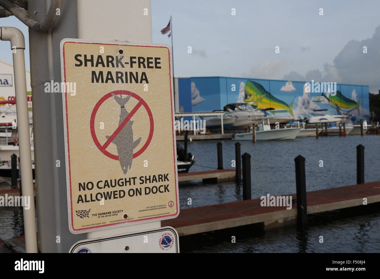 Shark warning sign hi-res stock photography and images - Alamy