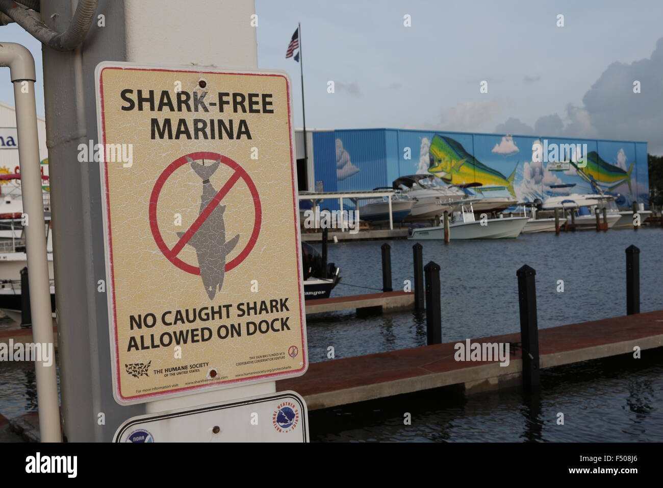 A "Shark Free Marina" warning sign posted in the Florida Keys Stock ...