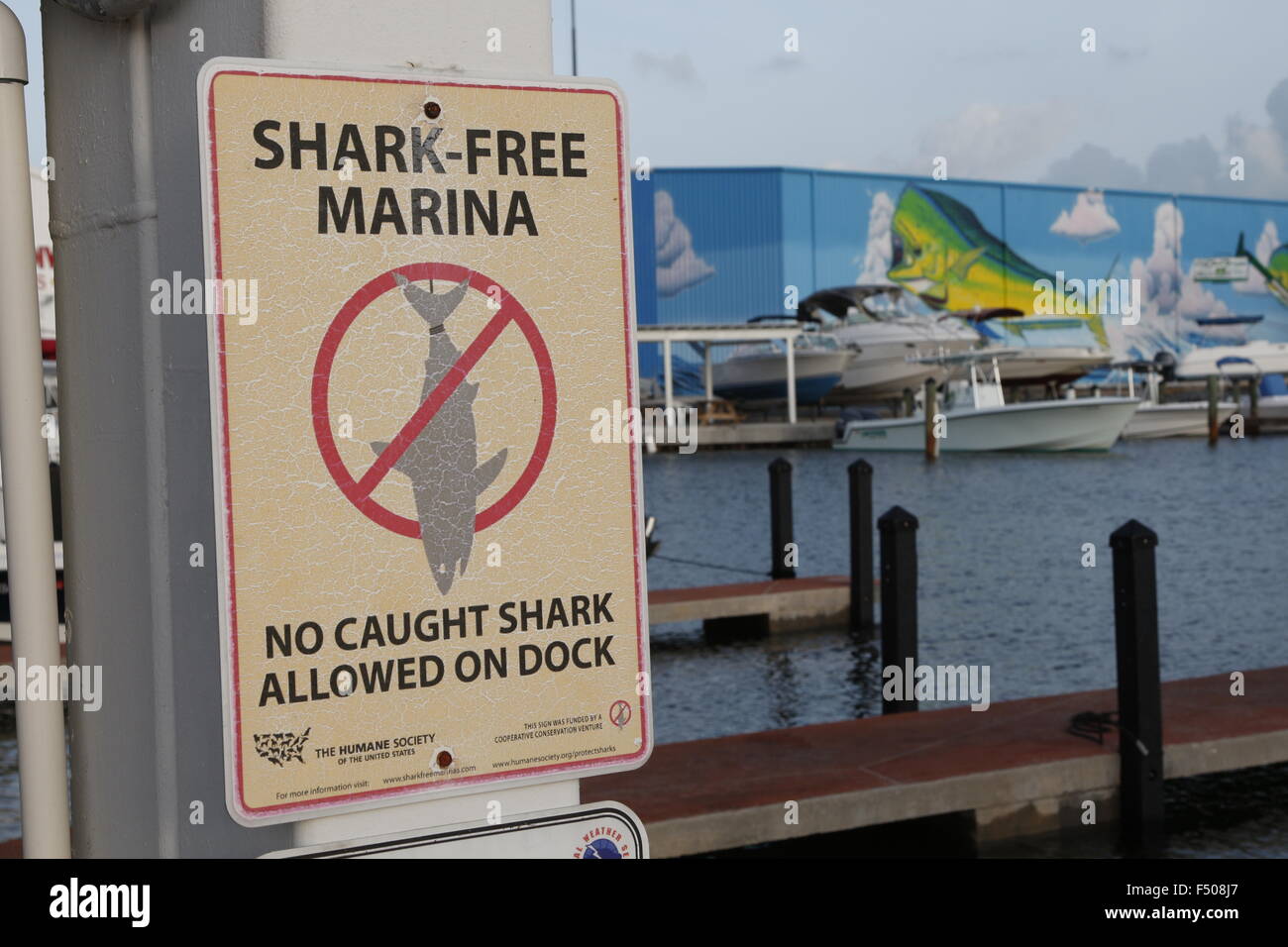 A "Shark Free Marina" warning sign posted in the Florida Keys Stock ...