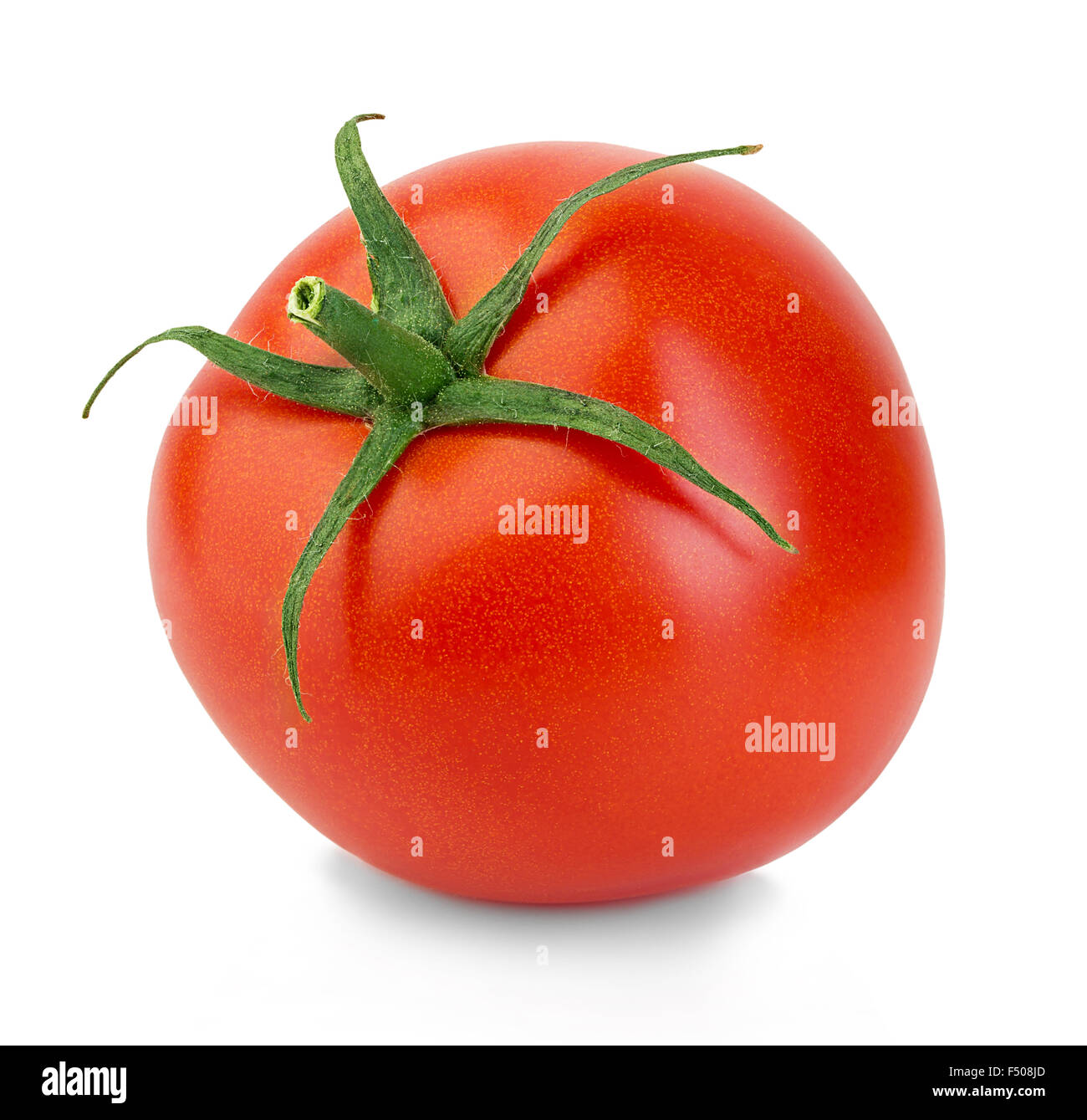 Single fresh tomato Cut Out Stock Images & Pictures - Alamy