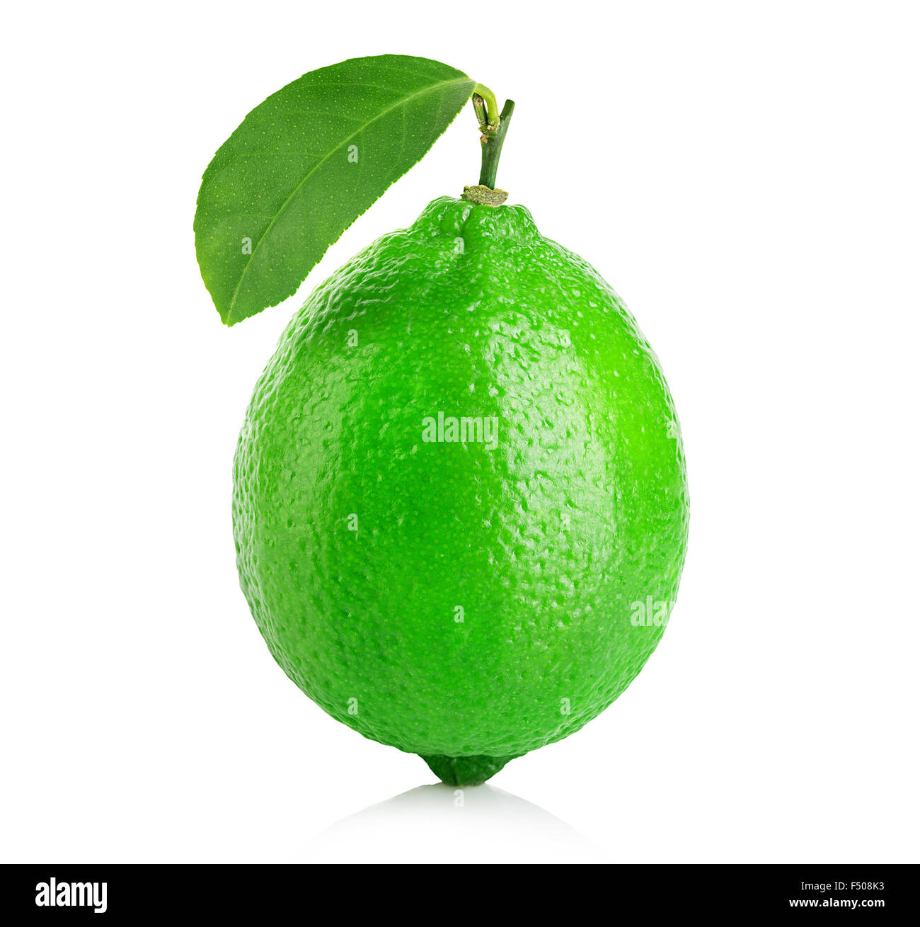 Lime isolated close-up on a white background Stock Photo - Alamy