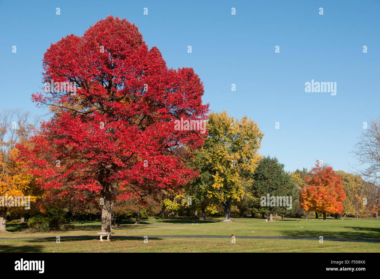 Glorious autumn foliage Stock Photo - Alamy
