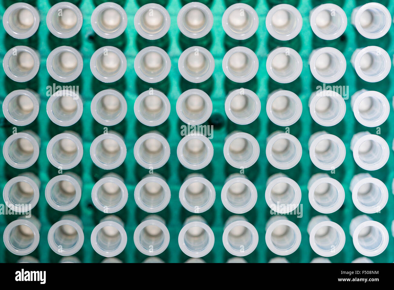 Safe seal hi-res stock photography and images - Alamy