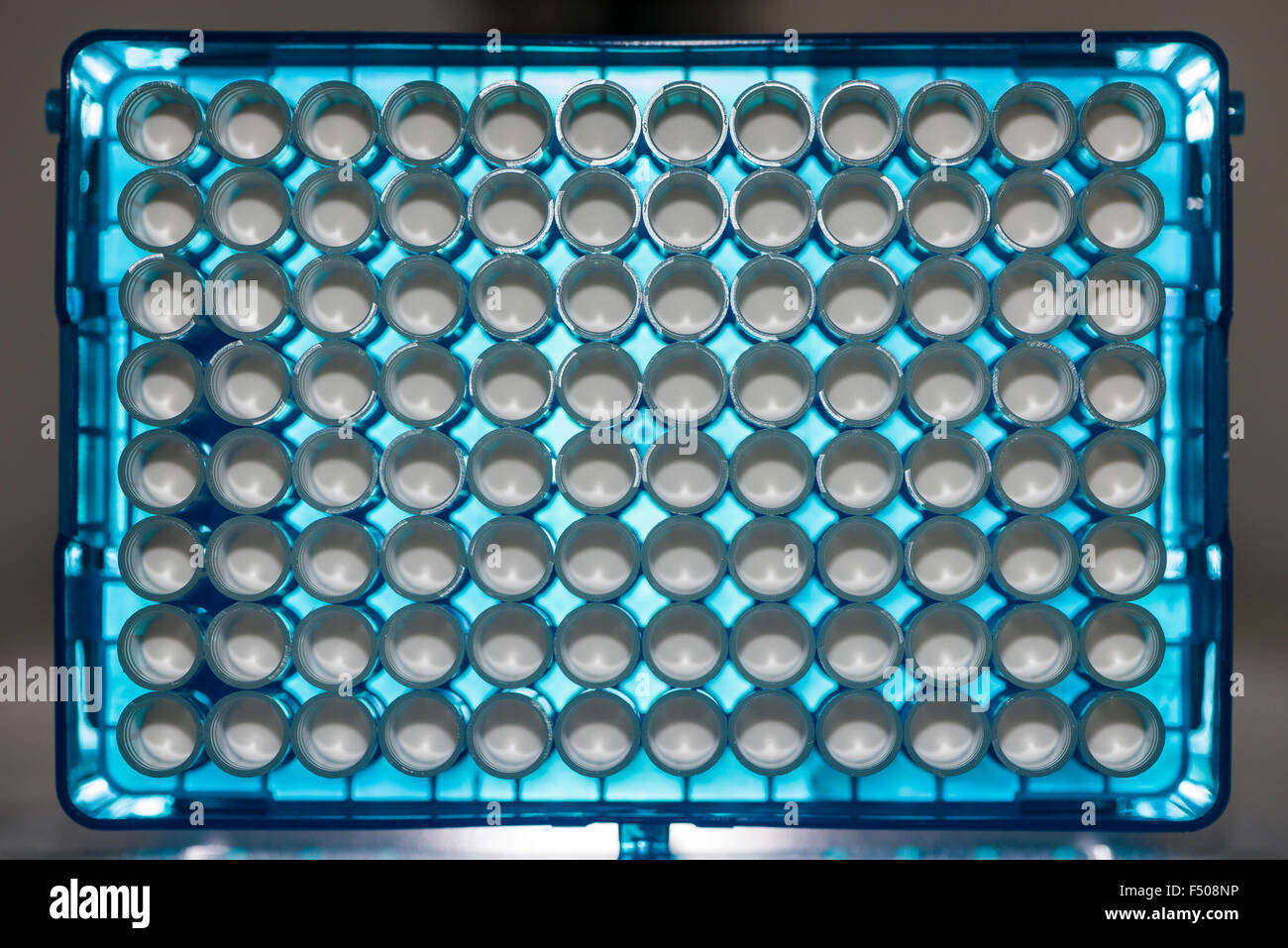 Safe seal hi-res stock photography and images - Alamy