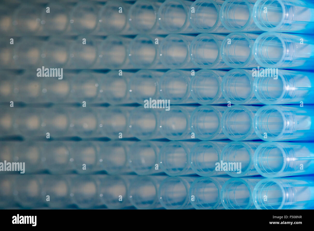 Safe Seal Tips are sorted in a blue rack Stock Photo - Alamy