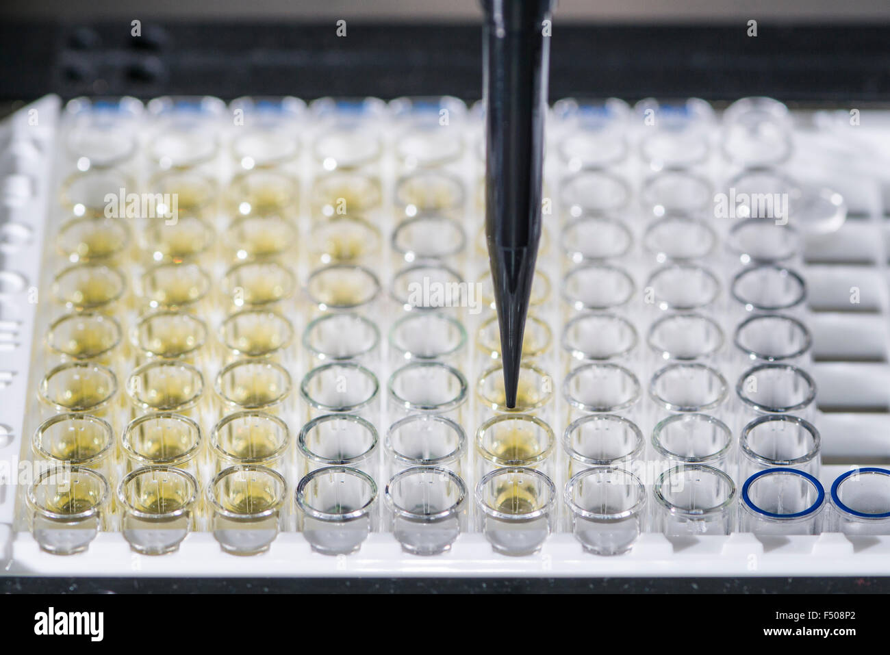 Capillary tubes hi-res stock photography and images - Alamy