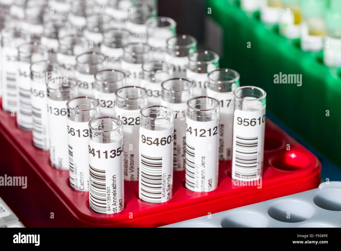 Transparent ampullas are sorted in a red rack in an ampulla sorting ...