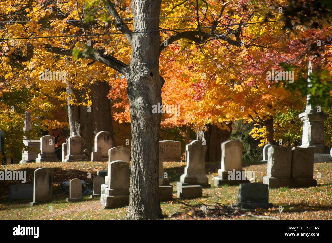 Autumn foliage in cemetery Stock Photo - Alamy