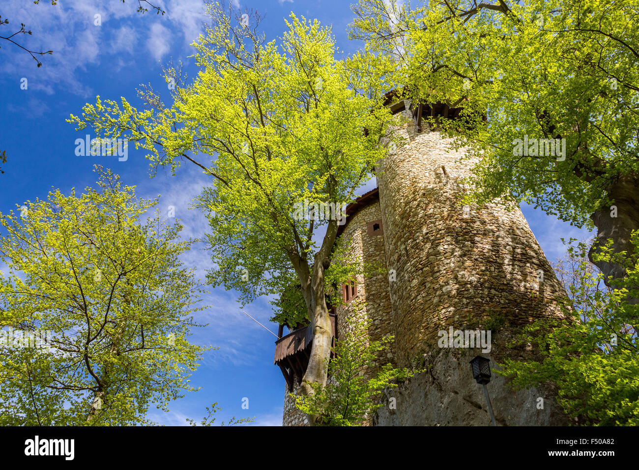 Reichenstein castle hi-res stock photography and images - Alamy
