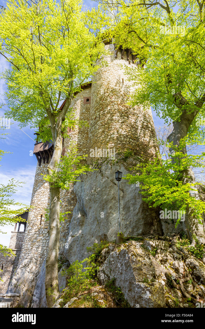 Reichenstein Castle (Burg Reichenstein), Arlesheim, Canton Basel ...
