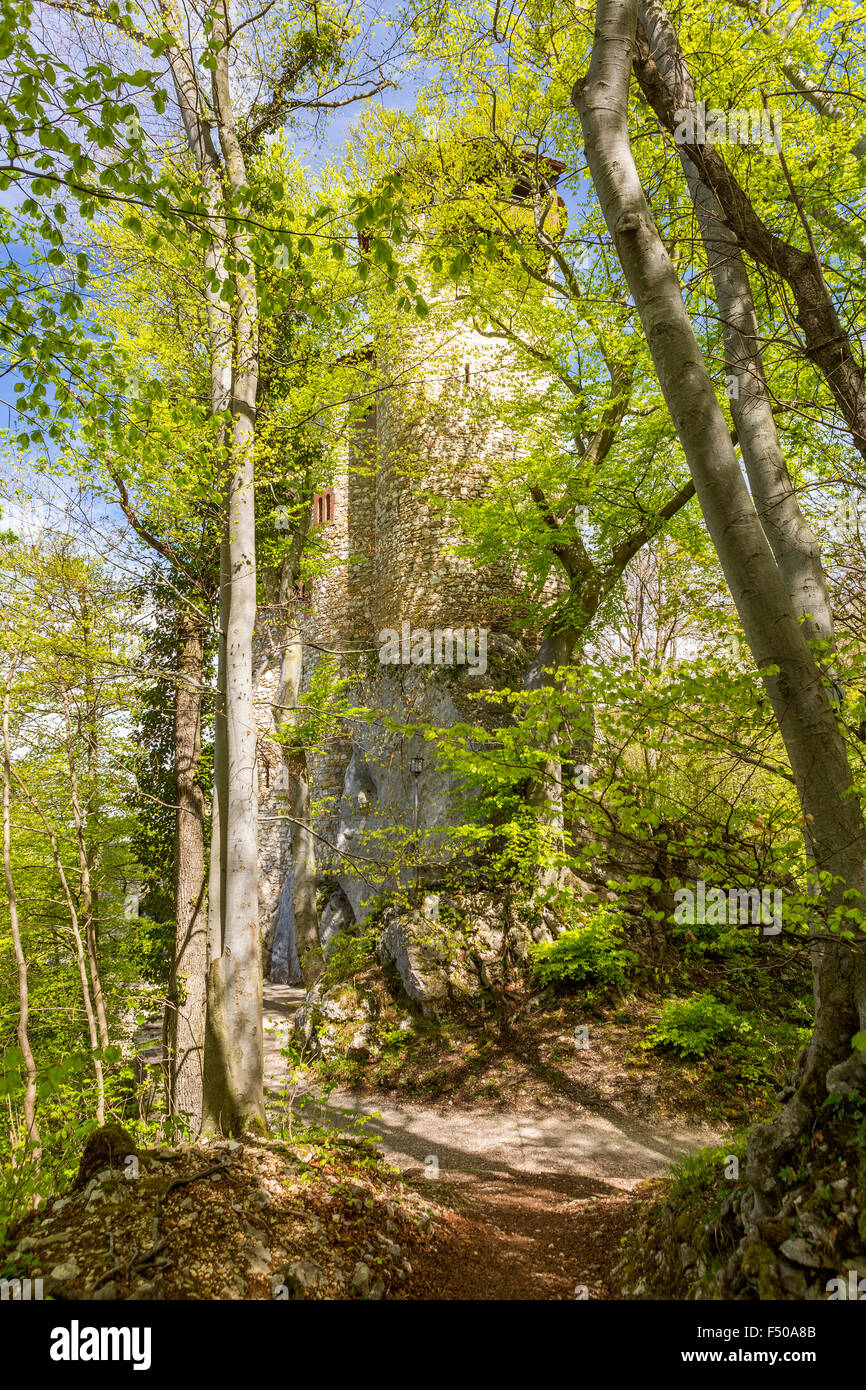 Reichenstein Castle (Burg Reichenstein), Arlesheim, Canton Basel ...