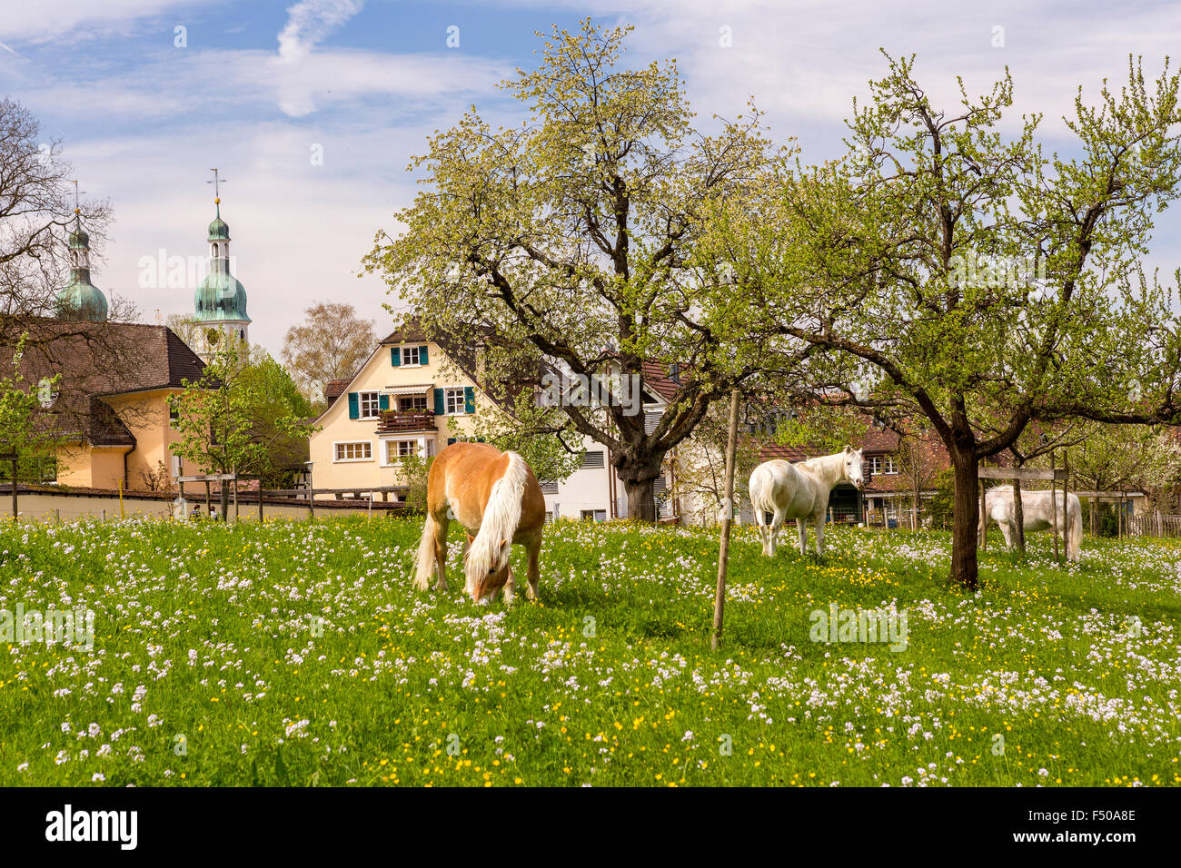 Canton of baselland hi-res stock photography and images - Alamy