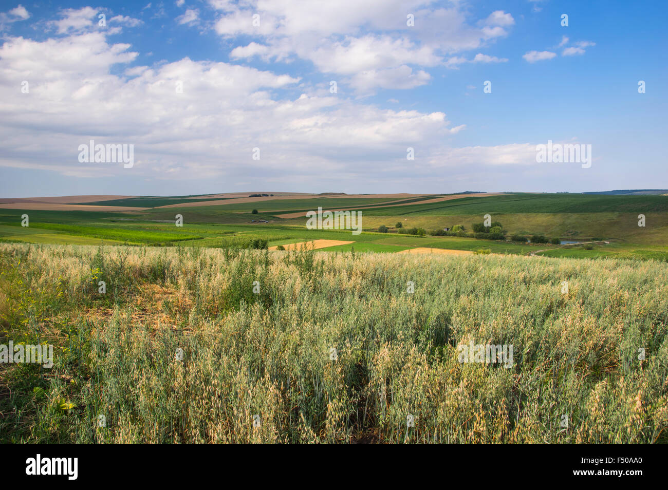 Beautiful springtime scene hi-res stock photography and images - Alamy