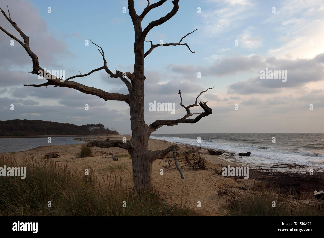 Low laying landscape hi-res stock photography and images - Alamy