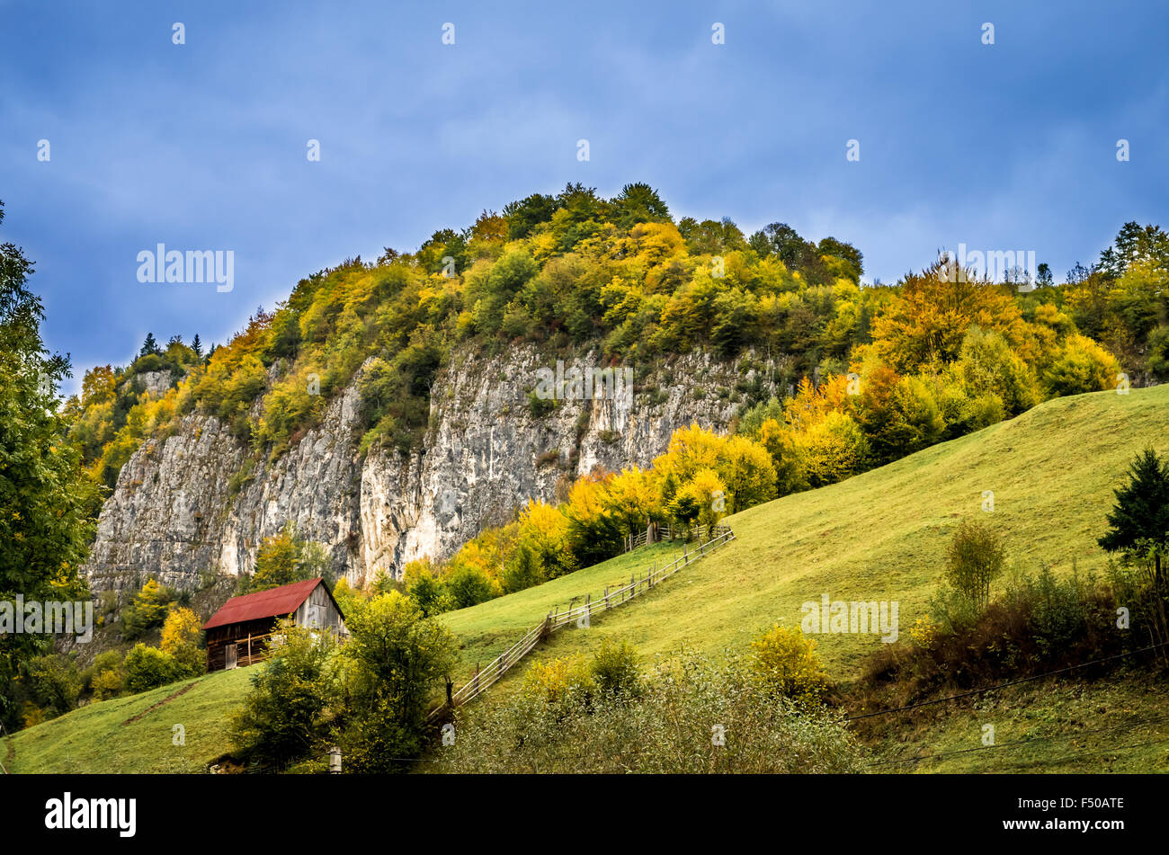 Fall colors around a cottage house. Autumn landscape in mountains with ...