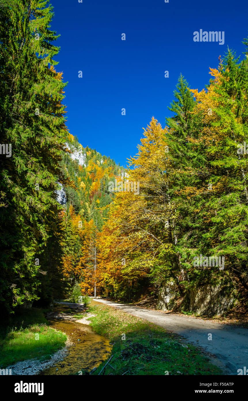 Bright and colorful autumn hi-res stock photography and images - Alamy