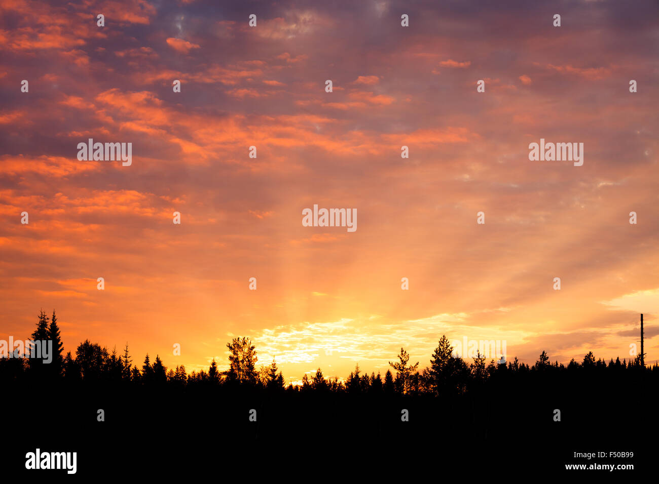 Sunrise over forest sun rays Stock Photo - Alamy