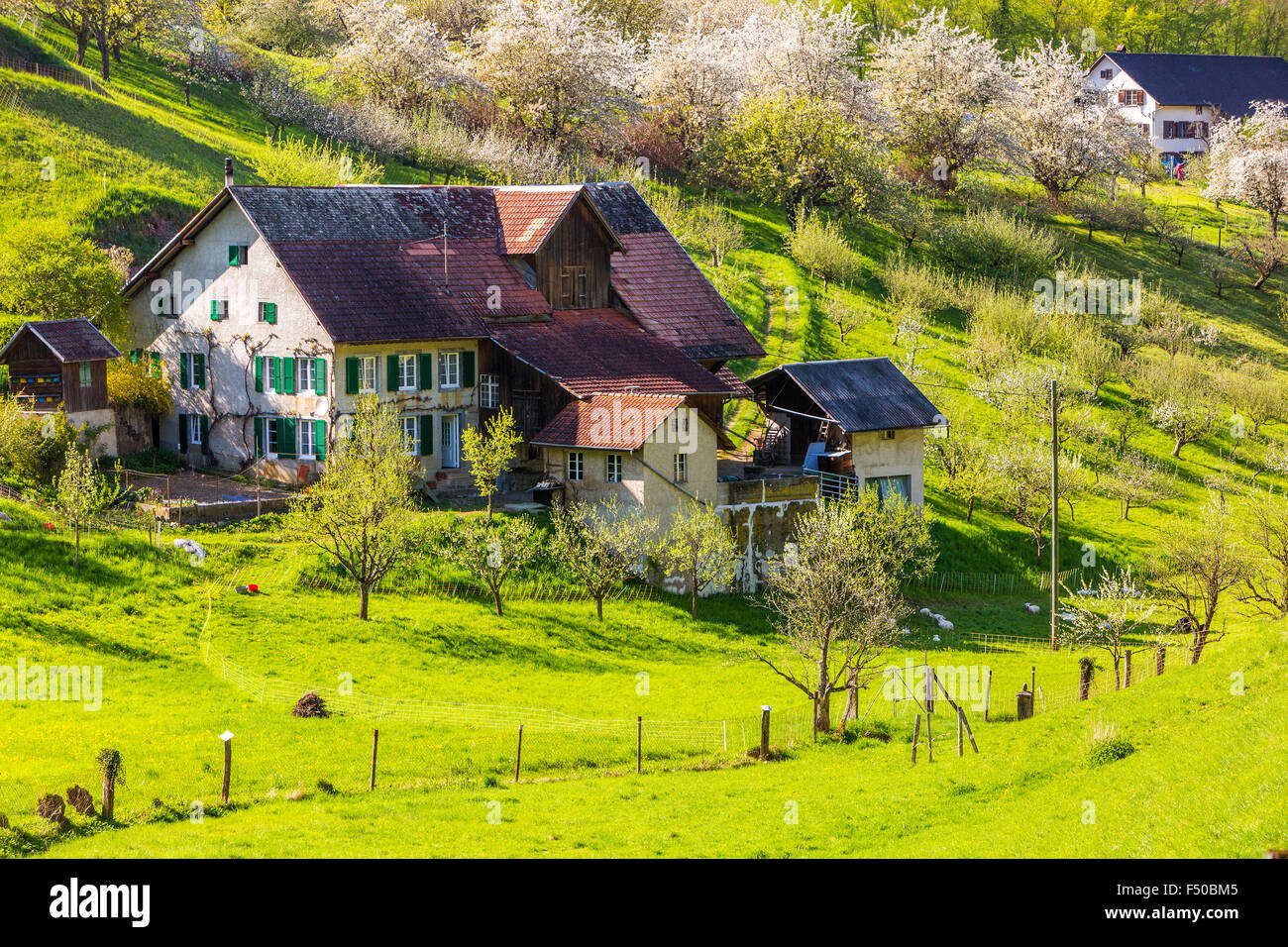 Bubendorf switzerland hi-res stock photography and images - Alamy