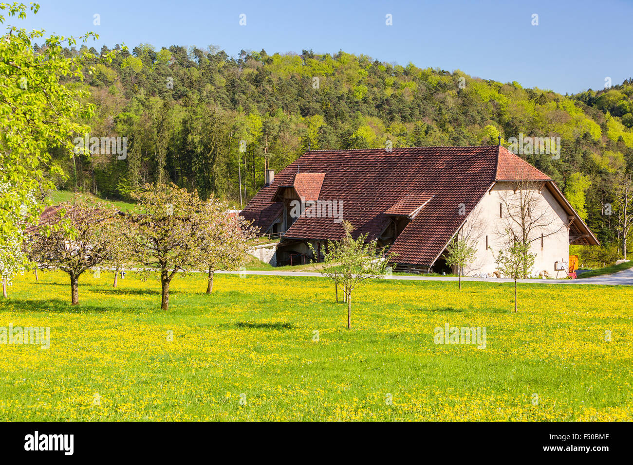 Landscape near Lampenberg, Canton Basel-Landschaft, Switzerland Stock ...