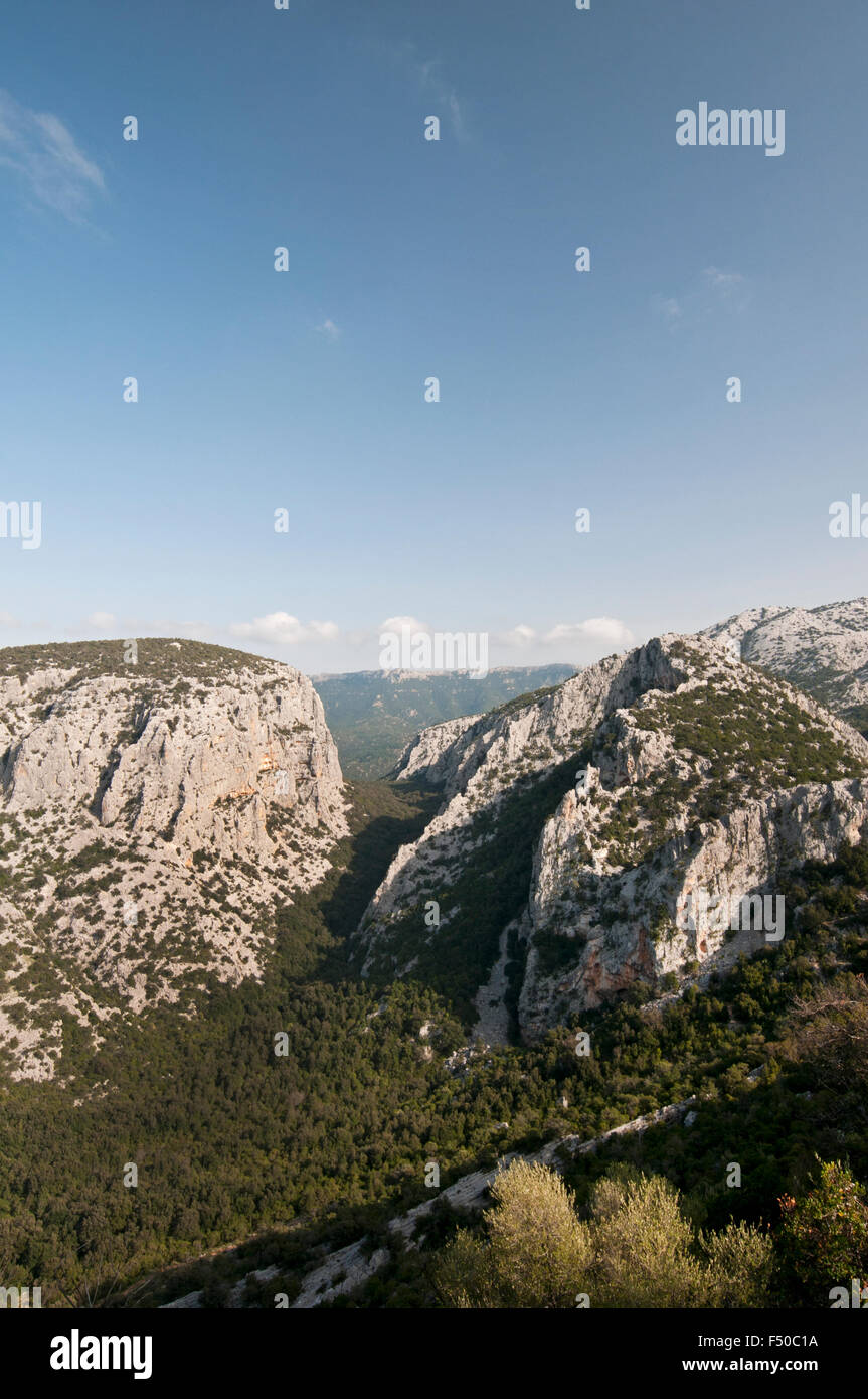 Dorgali, Sardinia, Italy, 5/2015.View of the Surtana canyon inside ...