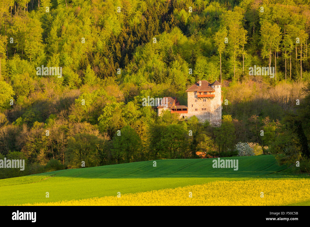 Rotberg castle hi-res stock photography and images - Alamy
