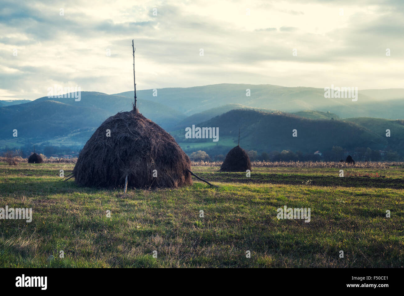 Hay fields hi-res stock photography and images - Alamy