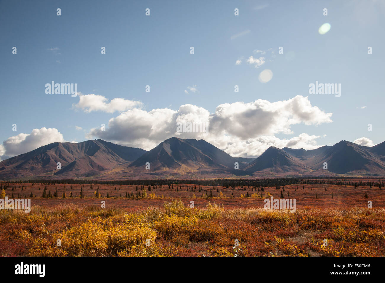 Scenic views from Denali State Park on George Parks Highway, Alaska ...
