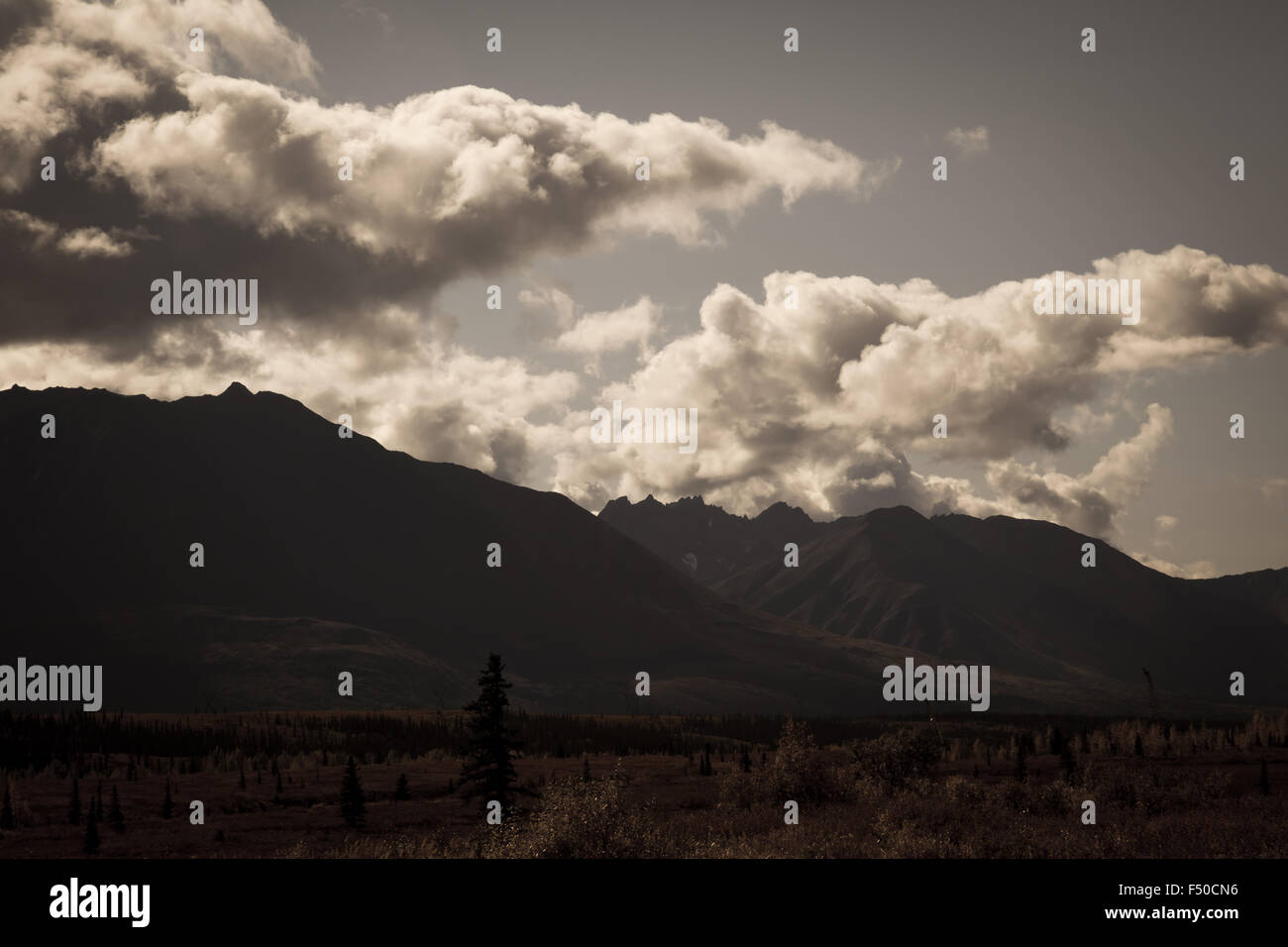 Scenic views from Denali State Park on George Parks Highway, Alaska ...