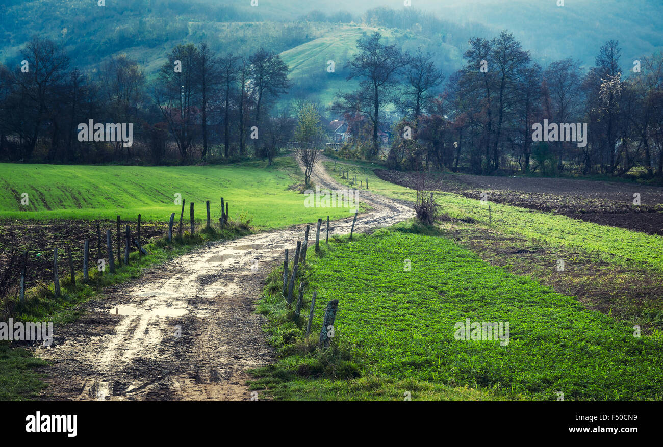 The green countryside Stock Photo - Alamy