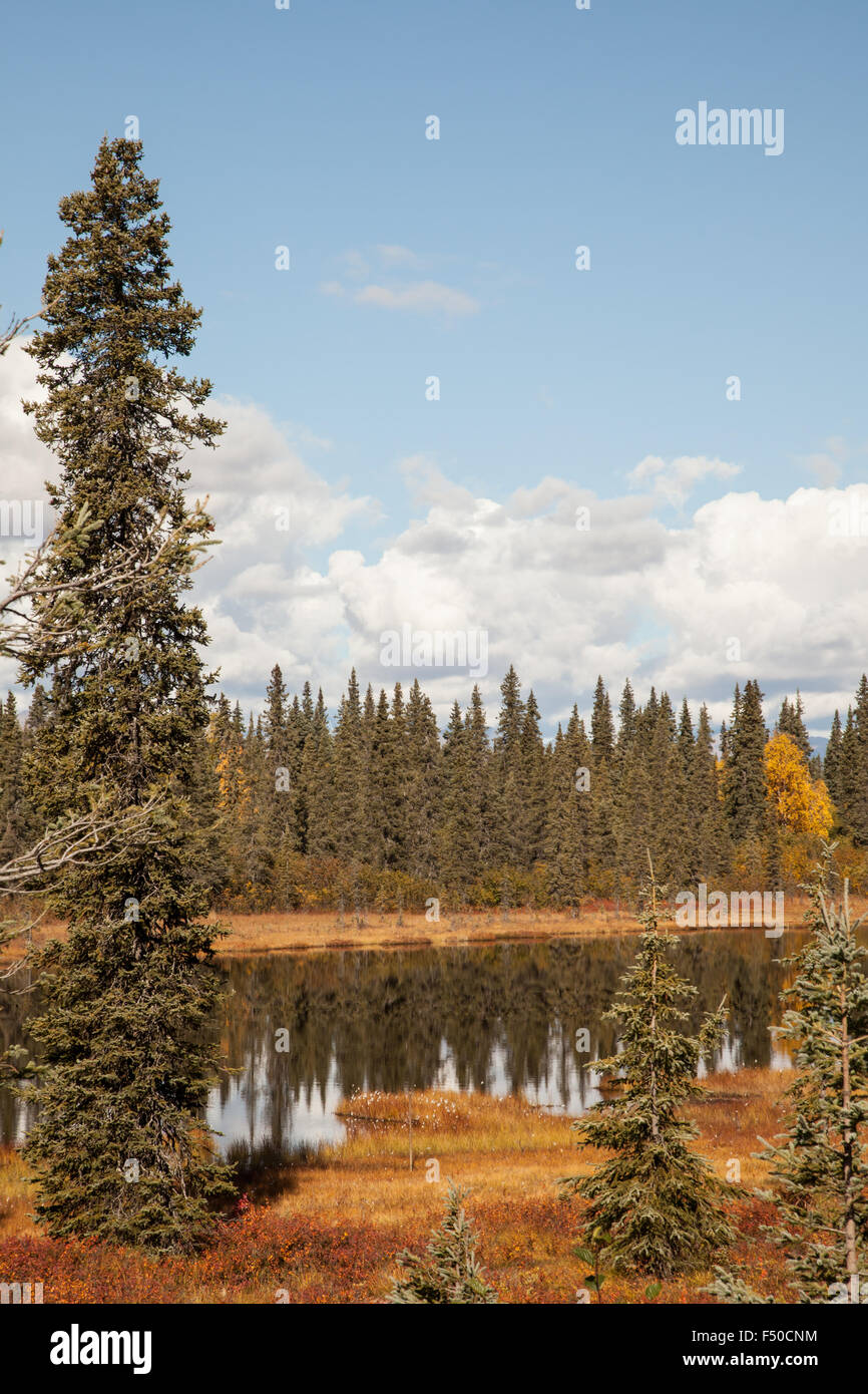 Scenic views from Denali State Park on George Parks Highway, Alaska ...