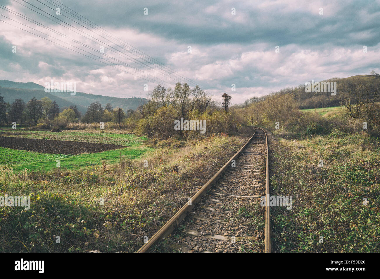 Railway into the wild Stock Photo - Alamy