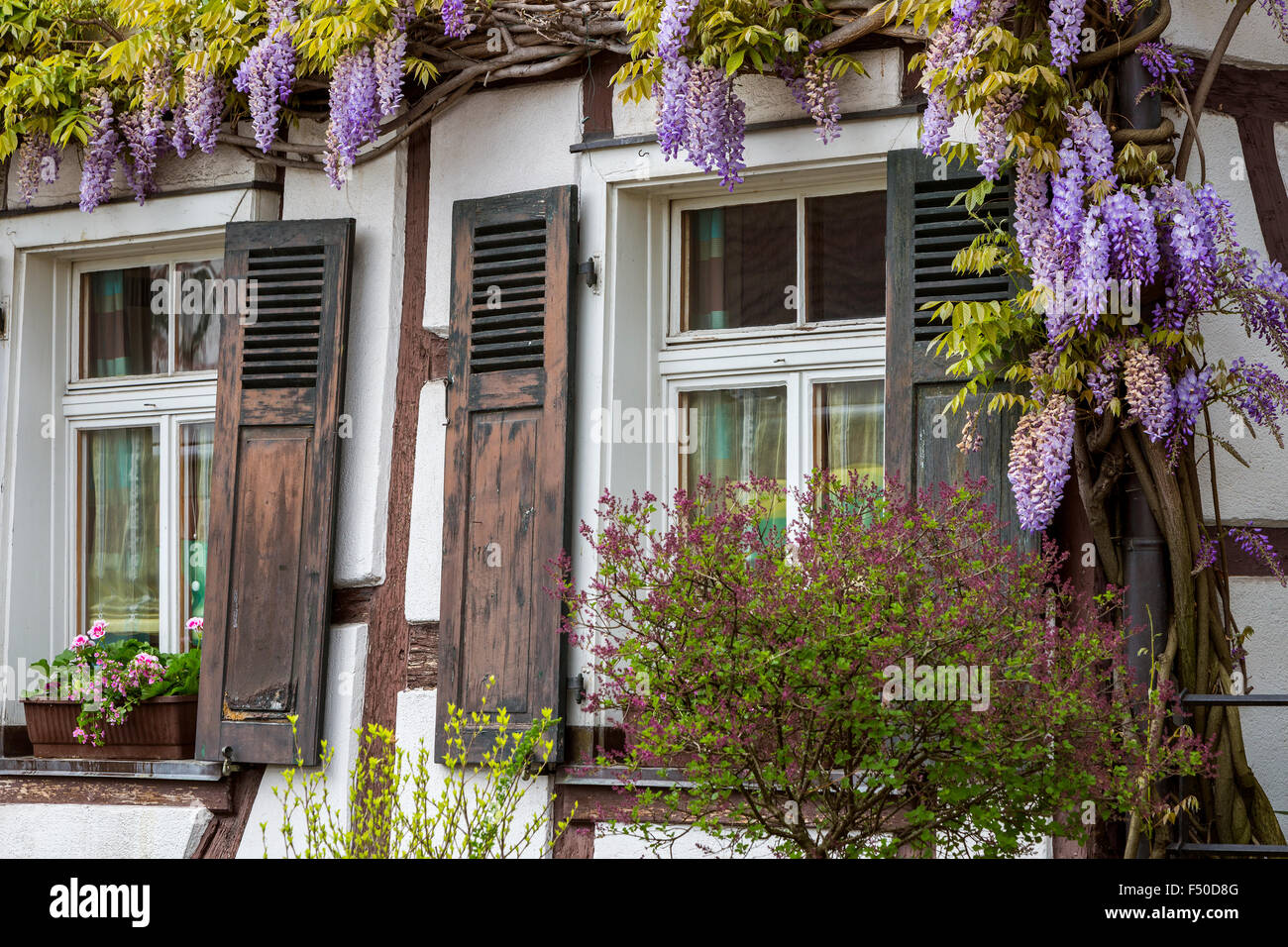 Medieval town Allschwil, Basel, Canton Basel-Landschaft, Switzerland ...