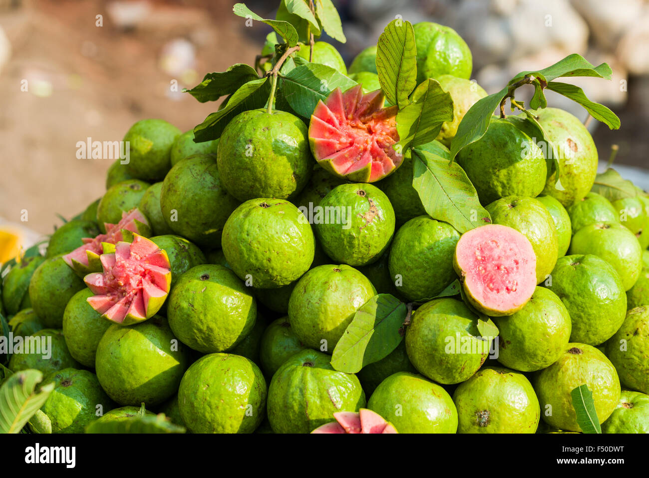 Red guavas for sale at street market hi-res stock photography and ...