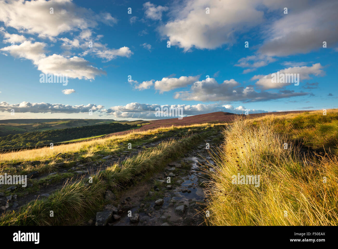 Sunlight on a rocky path hi-res stock photography and images - Alamy