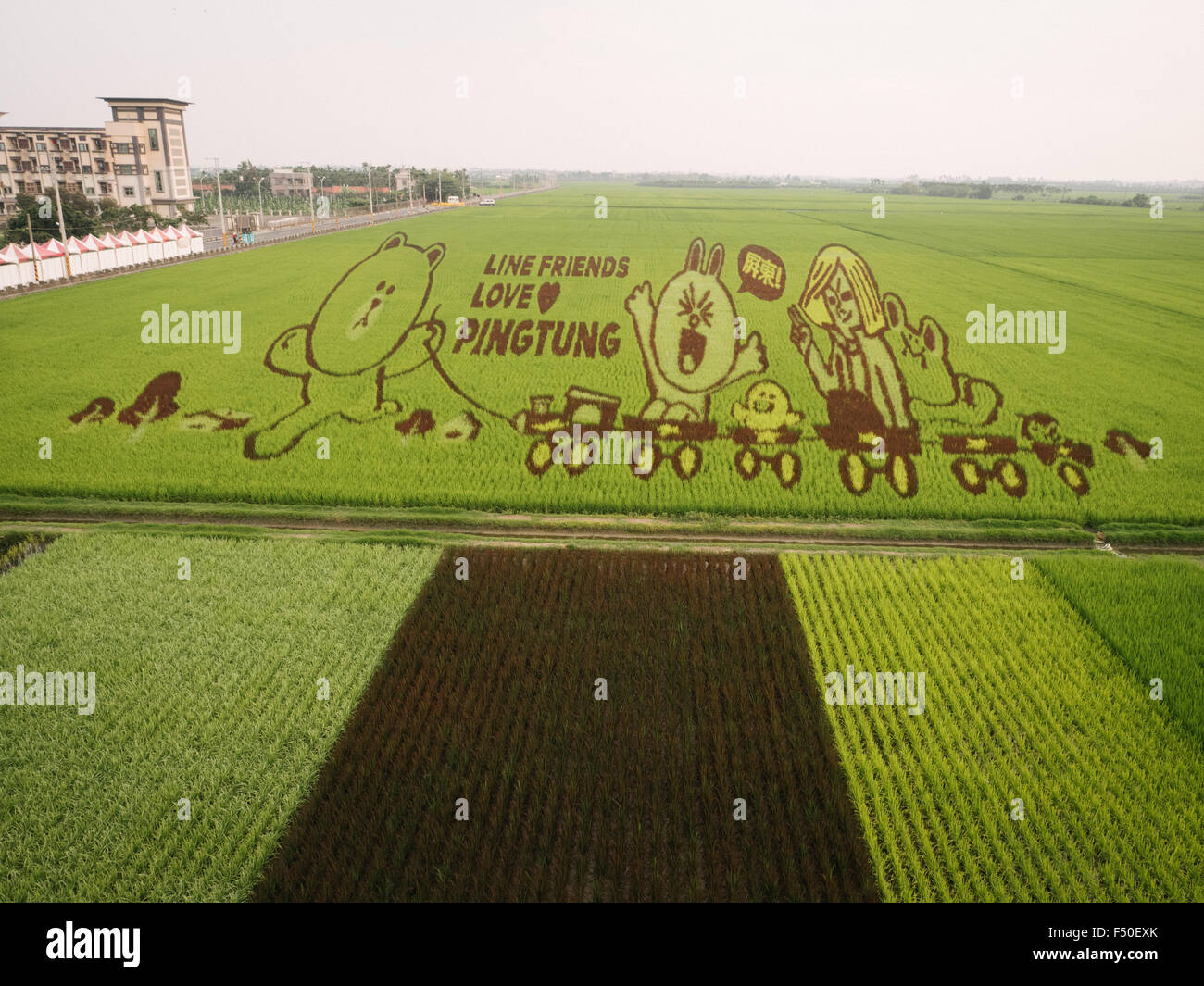 Rice paddy art hi-res stock photography and images - Alamy