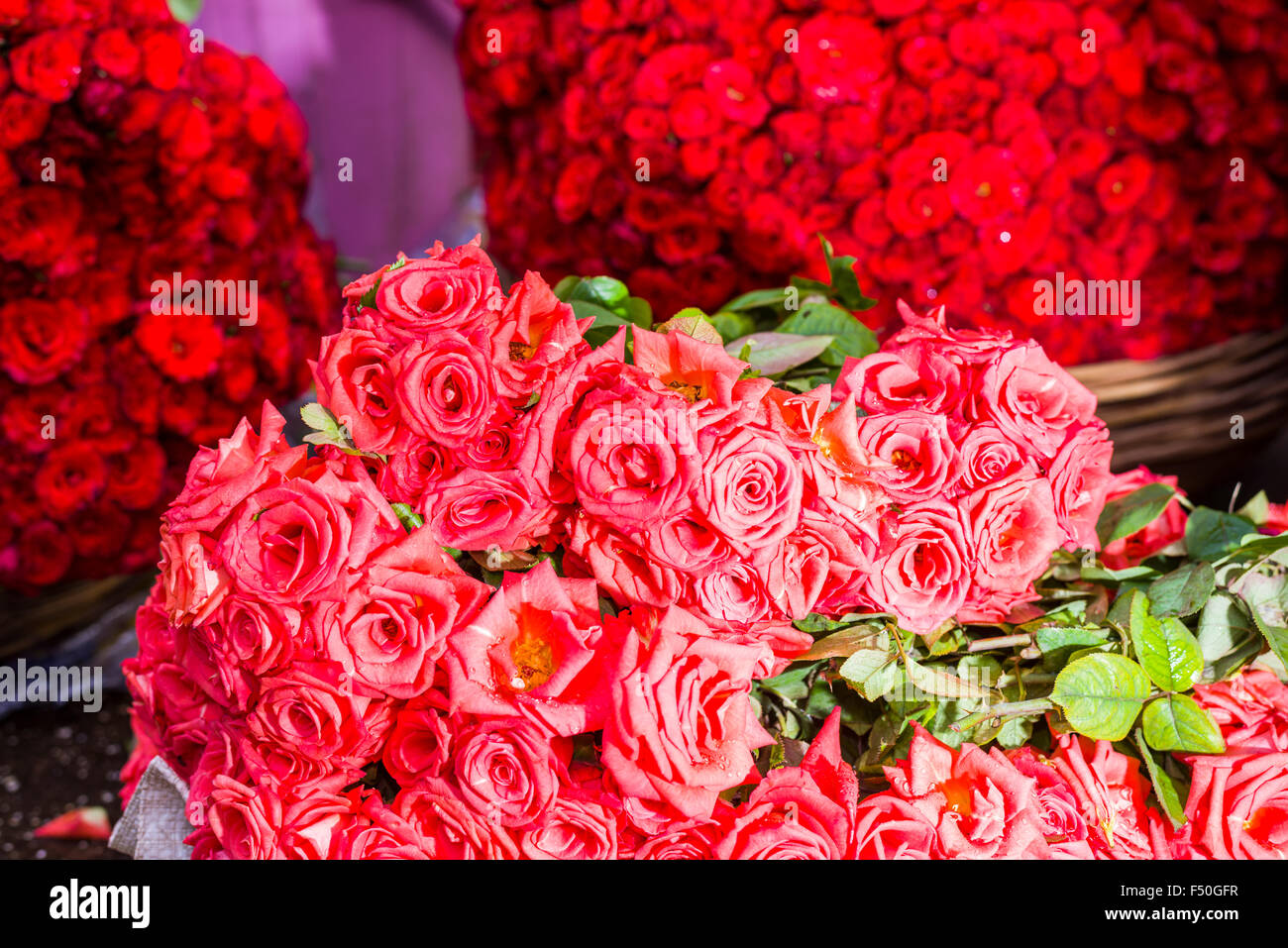 Pink and red roses in baskets are for sale at the weekly vegetable ...