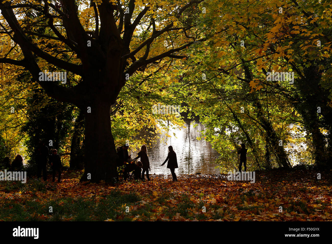 Hampstead Heath, London, UK. 25th October, 2015. Weather: Autumn ...