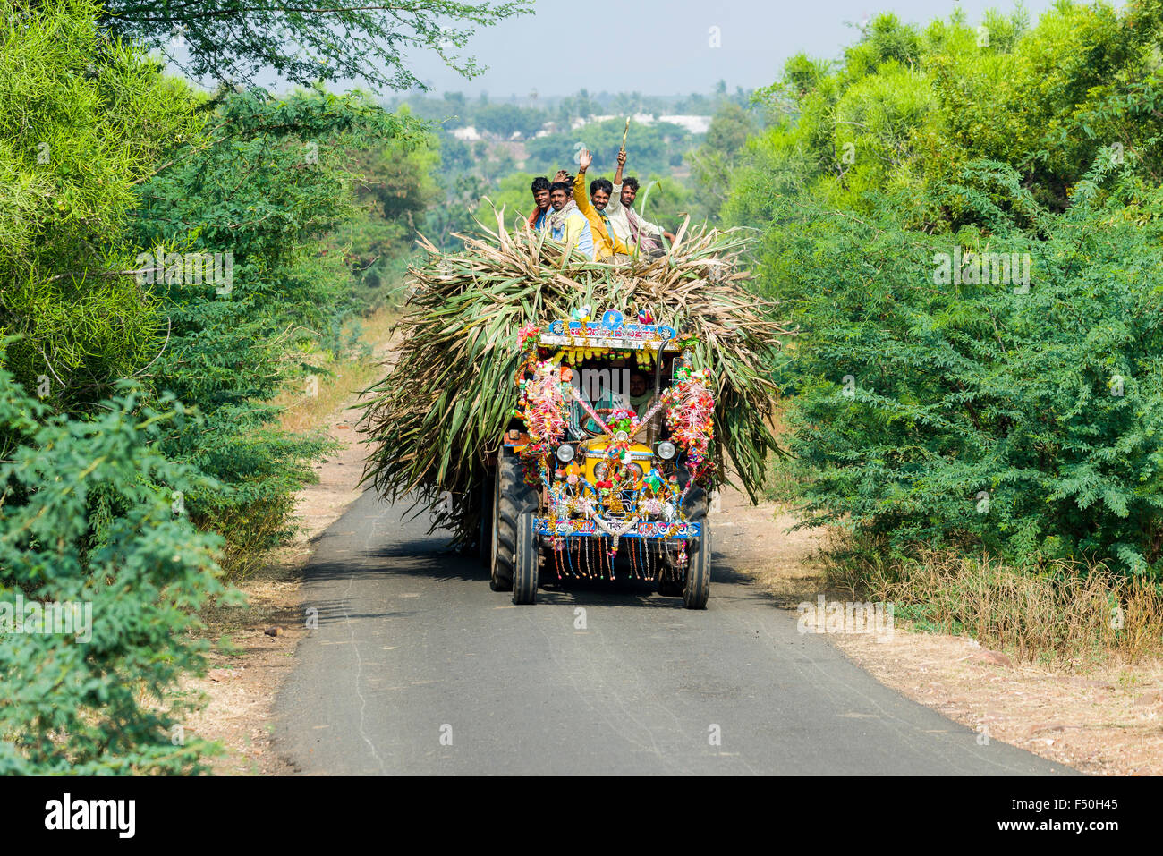 Sugar cane transport hi-res stock photography and images - Alamy