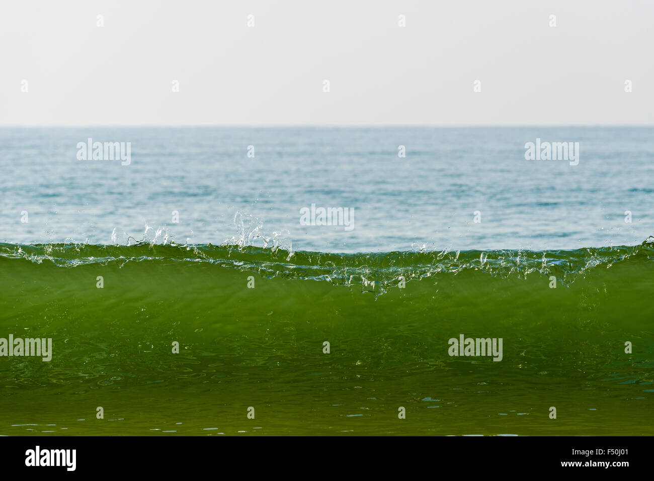 A wave of blue sea water is breaking with froth at Palolem Beach Stock ...