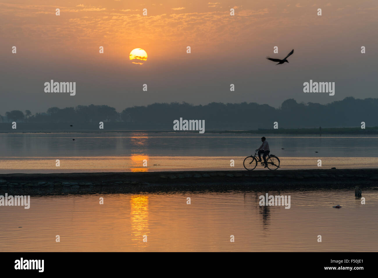 A cyclist is crossing the Yamuna river on a dam just after sunrise ...