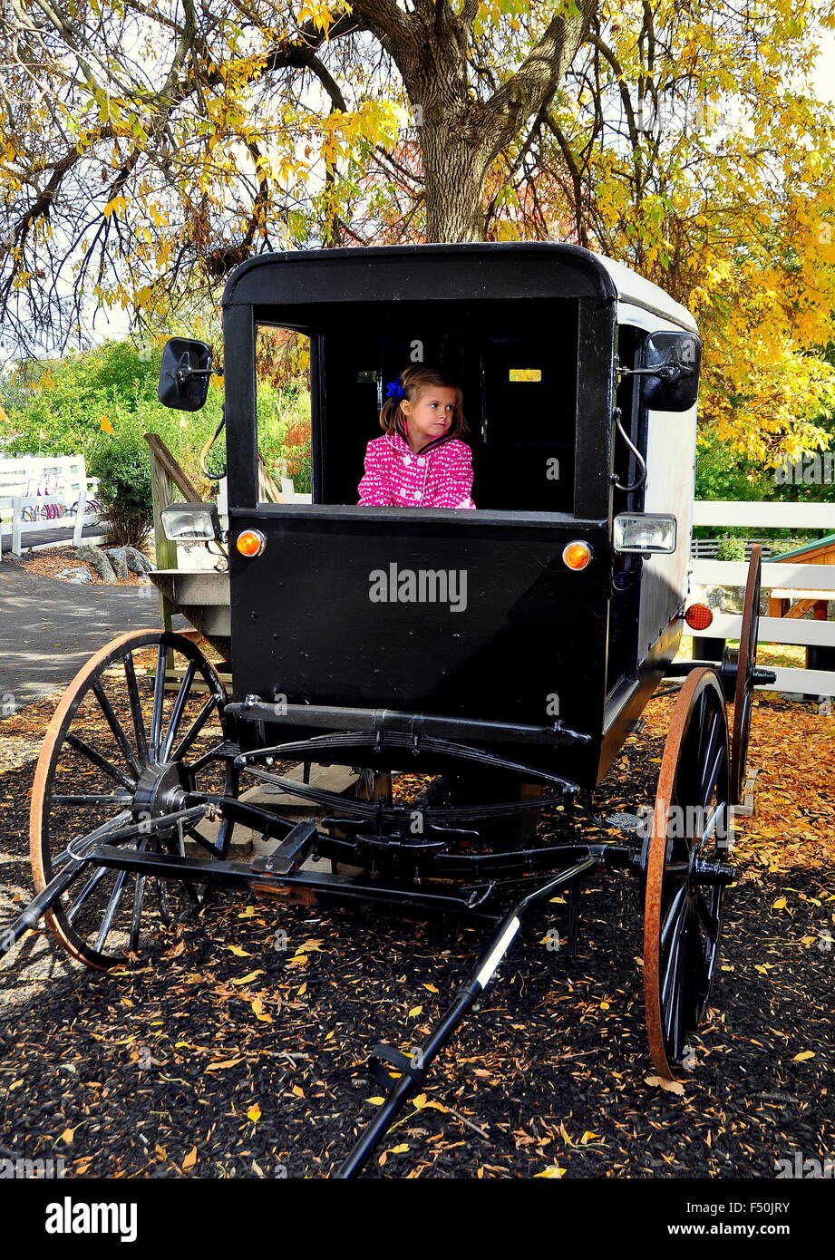 Amish girl hi-res stock photography and images - Alamy