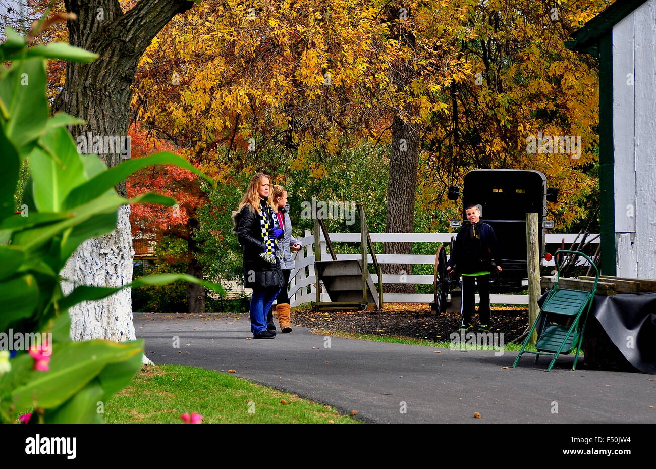 Lancaster, Pennsylvania: Visitors at the Amish Farm and House Museum ...