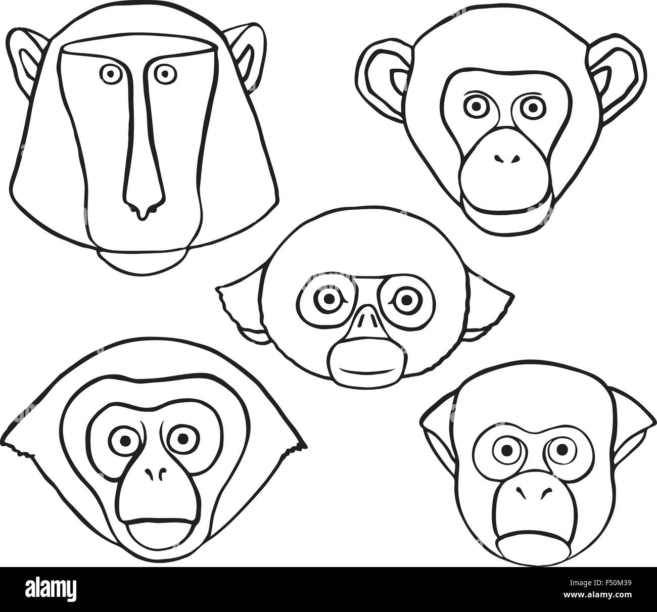 Vector Ornate Monkey Head Stock Vector Image & Art - Alamy