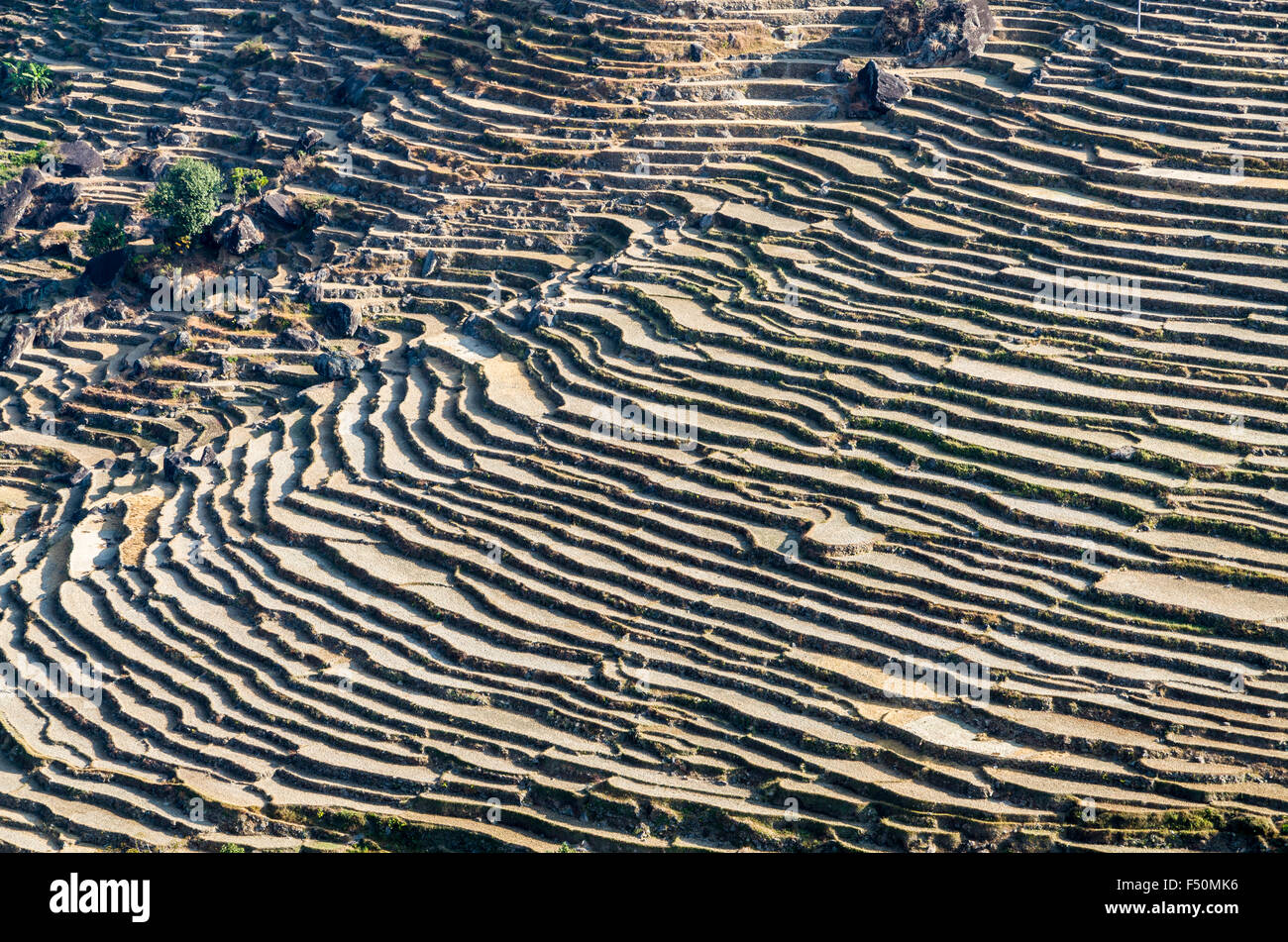 Crop terrace hi-res stock photography and images - Alamy