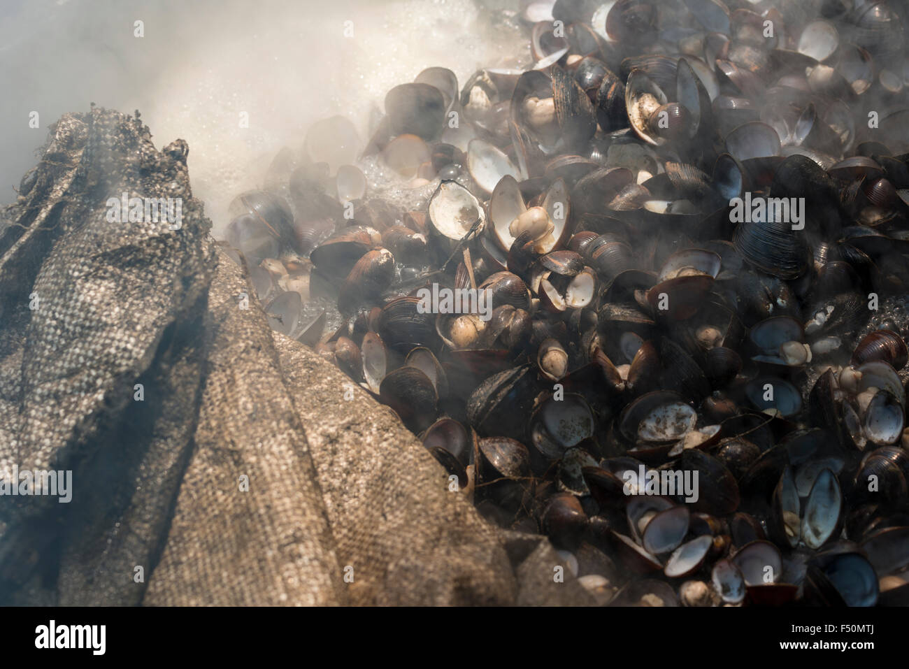 Mussels are boiling in a big pott on open fire Stock Photo - Alamy