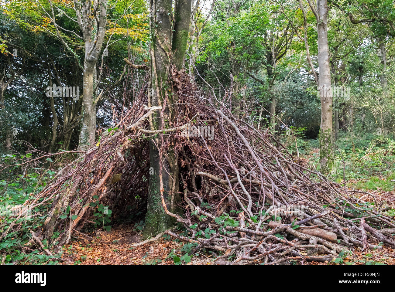 a childrens den in the forest Stock Photo - Alamy