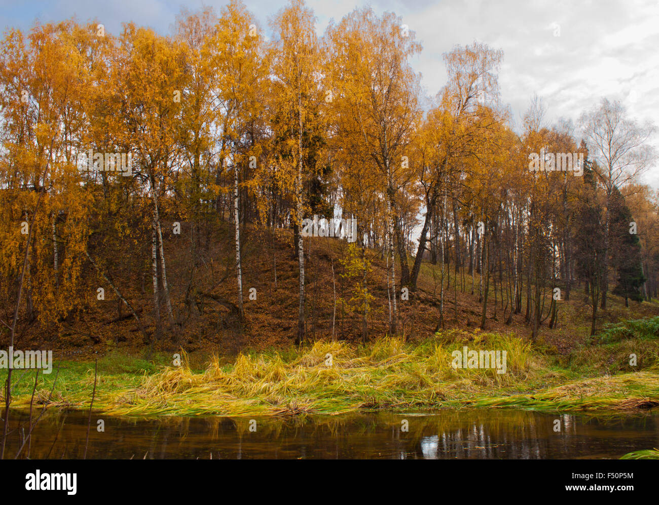mellow autumn on river bank Stock Photo - Alamy