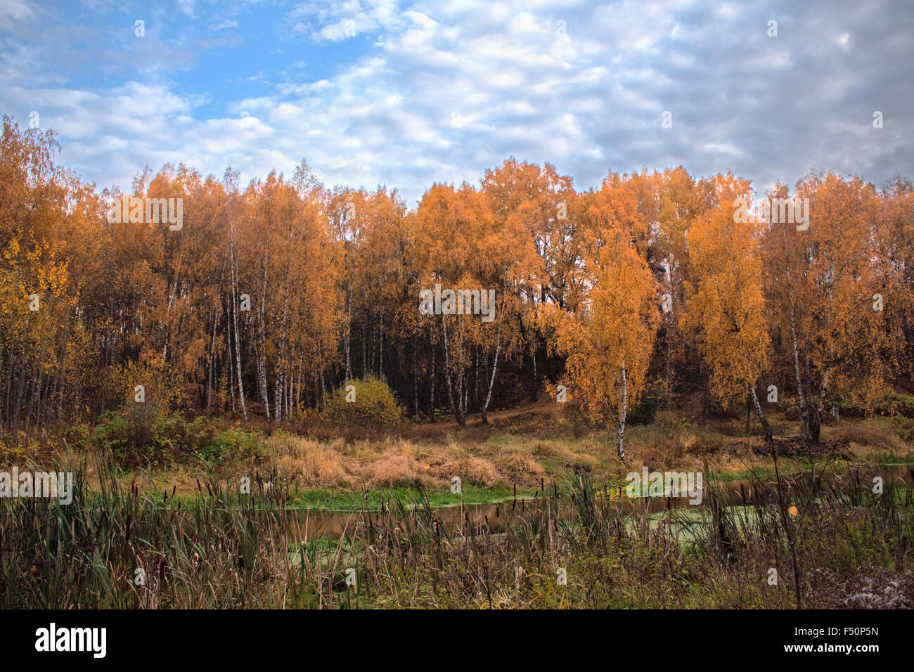 mellow autumn on river bank Stock Photo - Alamy