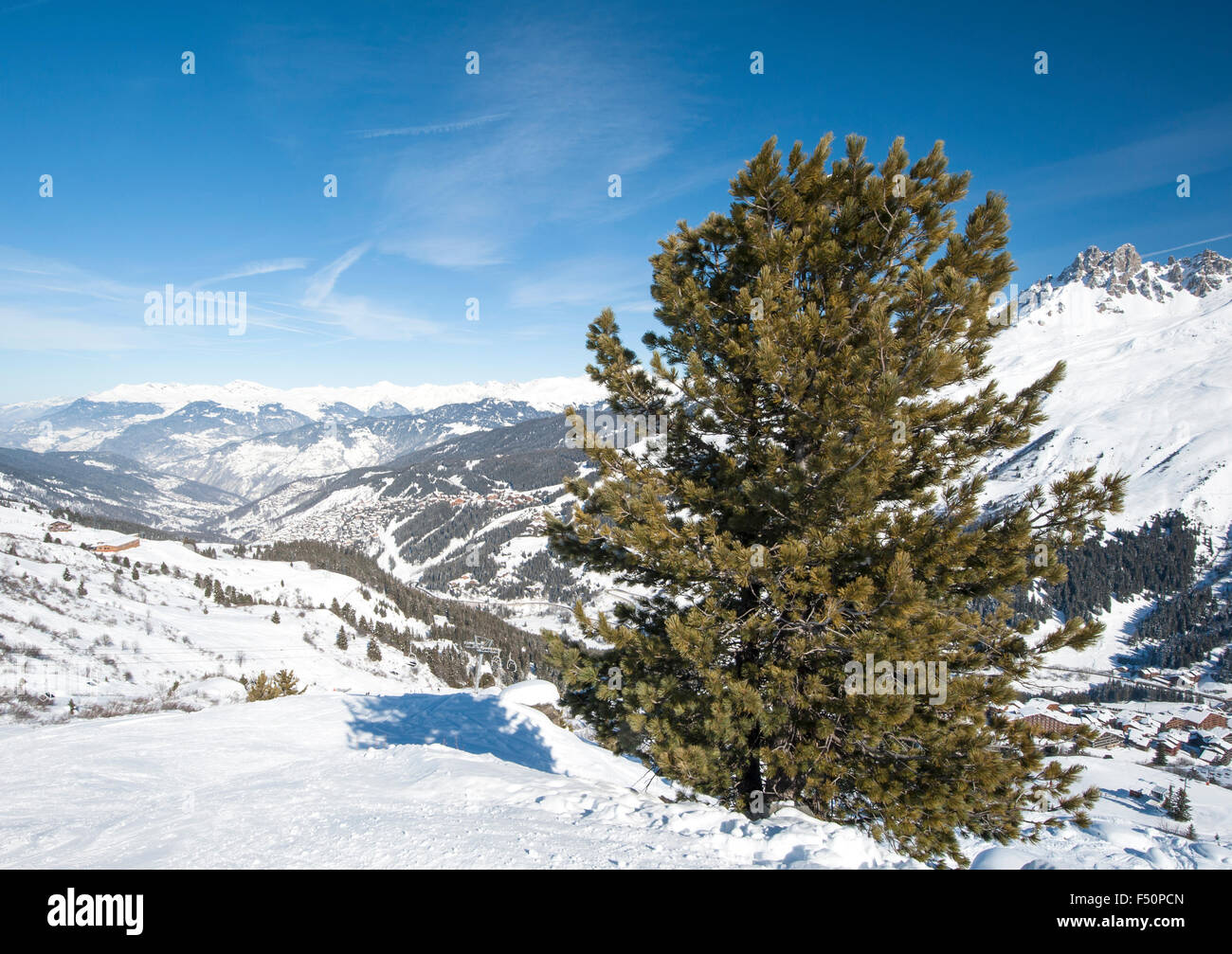 Panoramic view over a snow covered slope with a conifer pine tree Stock ...