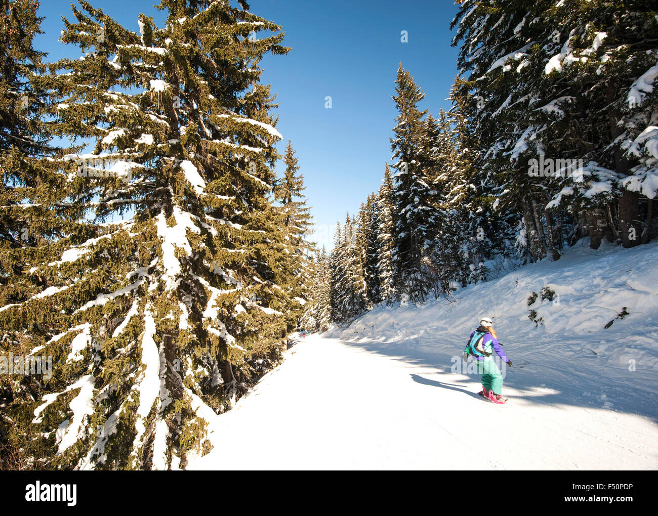 Skiers on a ski slope piste slope going through the trees in alpine ...